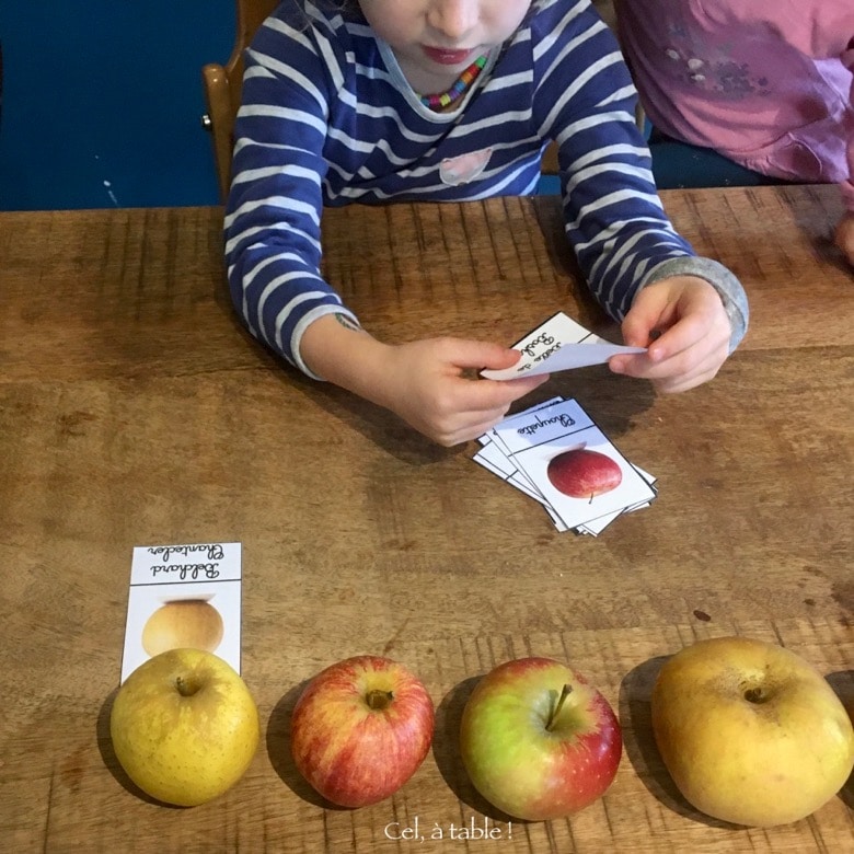 Activité d'automne avec les enfants : dégustons des pommes ! - Cel, à ...