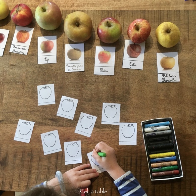 Activité d'automne avec les enfants : dégustons des pommes ! - Cel, à ...
