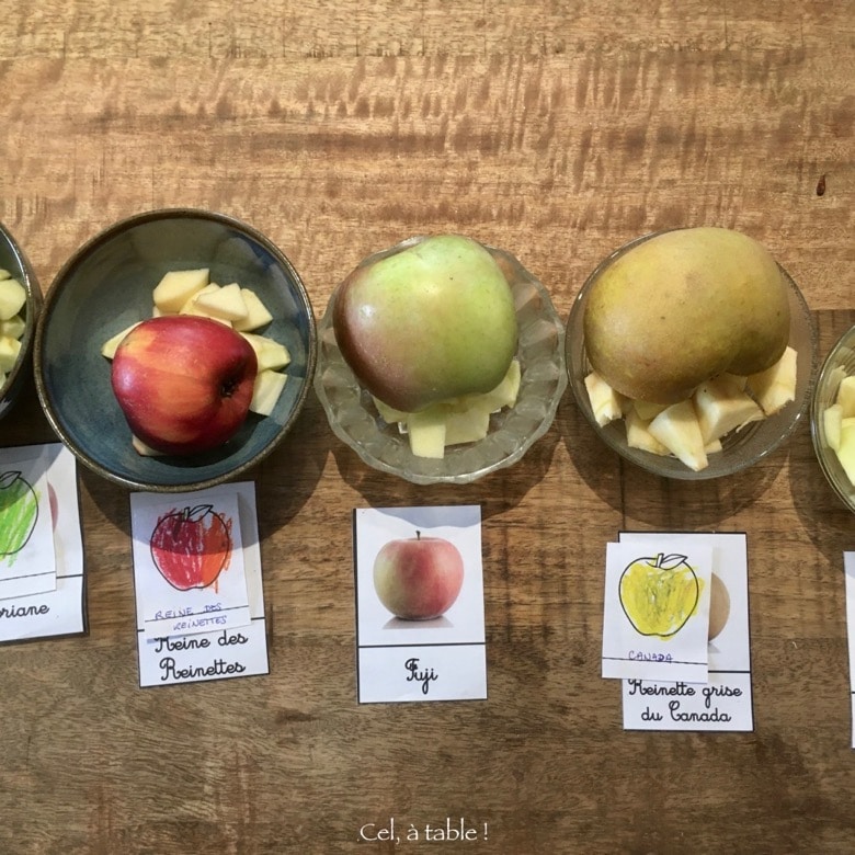 Activité d'automne avec les enfants : dégustons des pommes ! - Cel, à ...