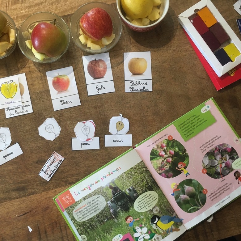 Activités en cuisine avec les enfants Archives - Cel, à table